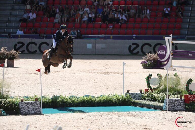 Das Springreiten: Was du wissen solltest | FUNDIS Reitsport