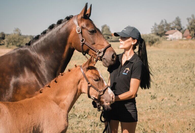 Das Deutsche Reitpony - Pferderassenportrait | FUNDIS Reitsport