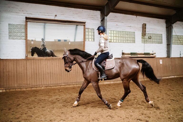 Trageerschöpfung beim Pferd | FUNDIS Reitsport